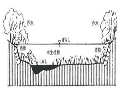 河流生态修复设计技术 水利设计 筑龙水利工程论坛