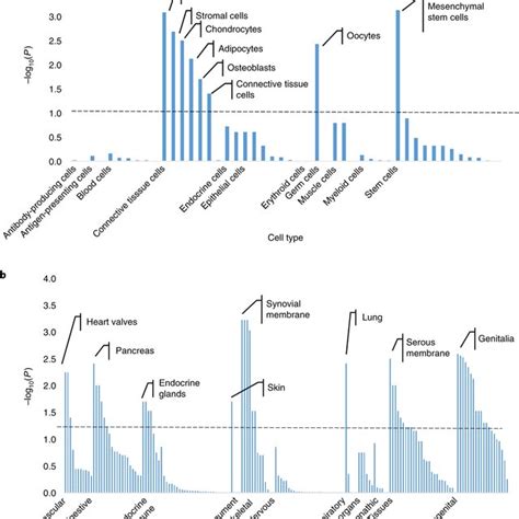 Enrichment Analysis Of Tissue And Cell Types Ab Plots Showing The