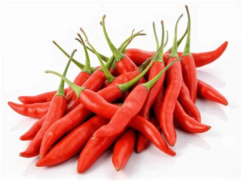 Chipotle Chile Authentic Morita Vs Meco Guide