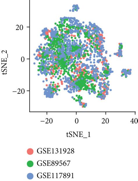 Activation Of Oxidative Stress Pathways In Pyroptotic Bmdms Was Download Scientific Diagram