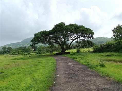 My Borli City My Borli City Added A New Photo