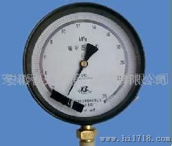 天马仪表精密压力表 差压表 维库仪器仪表网