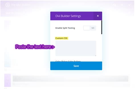 Divi Builder Single Page Code Area Designerless