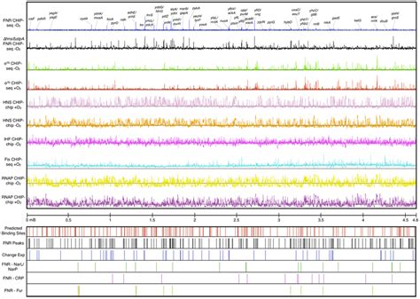 ChIP Seq And ChIP Chip Data Used In This Study The Tracks Are From