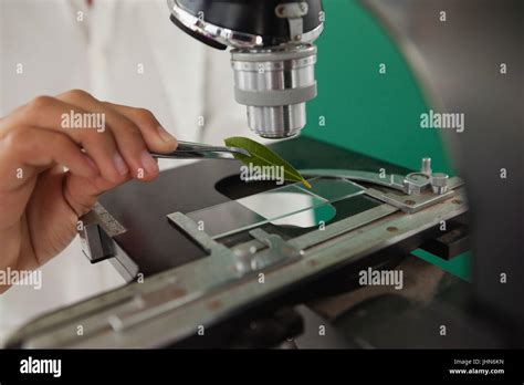 Microscope Lab Ethnic Hi Res Stock Photography And Images Alamy