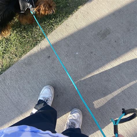 Jsjsjs Ola Youtube Music