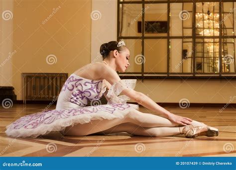 Young Ballerina In Ballet Pose Stock Image Image Of Dress
