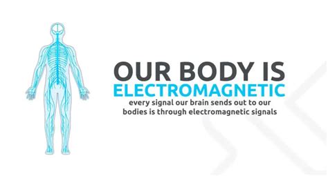 The Body Electric Pulse Pemf