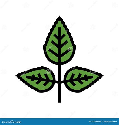Rose Flower Leaf Color Icon Vector Illustration Stock Vector