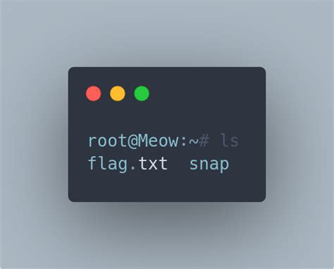 Htb Meow Walkthrough