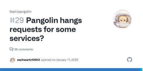 Pangolin Hangs Requests For Some Services Issue 29 Fosrl Pangolin
