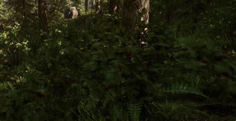 Blackberries Sons Of The Forest EIP Gaming