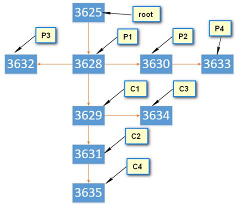 Linux下fork函數及pthread函數的總結 Jason Note