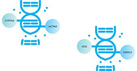 Fitnessgenes Science