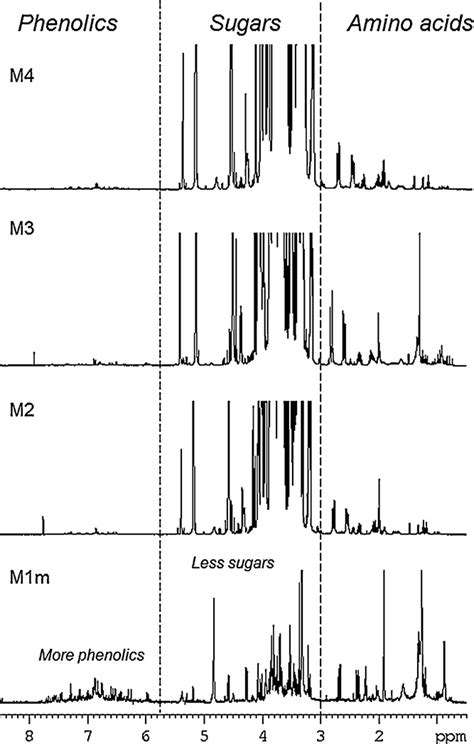Comparison Of 1 H Nmr Spectra Resulting From Different Extraction