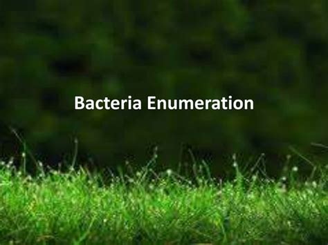 Bacterial Cells Enumeration Pptx