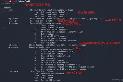 Web安全—web漏扫工具nikto安装与使用 Csdn博客