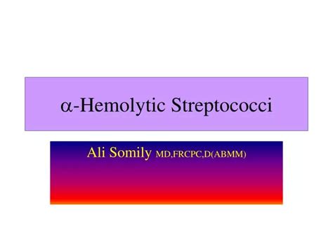 Ppt Hemolytic Streptococci Powerpoint Presentation Free Download
