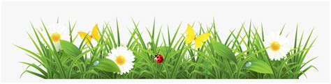 Cb Editing Grass Png Sample 2 Cb Editing Nature Png Cartoon Grass Png