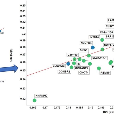 Gini Coefficient And Median Expression Levels Of Proposed Reference Download Scientific Diagram