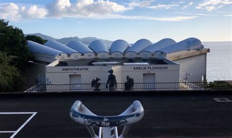 Bienvenue Au Lycée De Bellevue