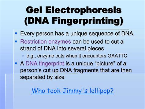 PPT Biotechnology Gel Electrophoresis PowerPoint Presentation Free
