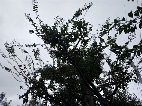 台風の目 おばさんのささやき