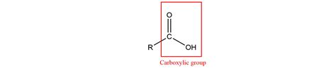 What Functional Group Distinguishes The Following Hydrocarbo Quizlet