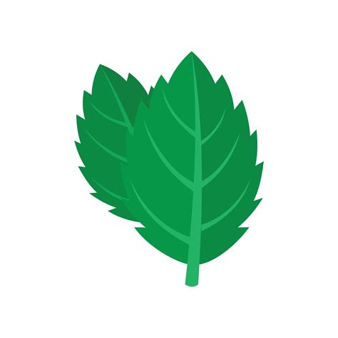 Icono De Menta Vector Aislado Plano 15016864 Vector En Vecteezy
