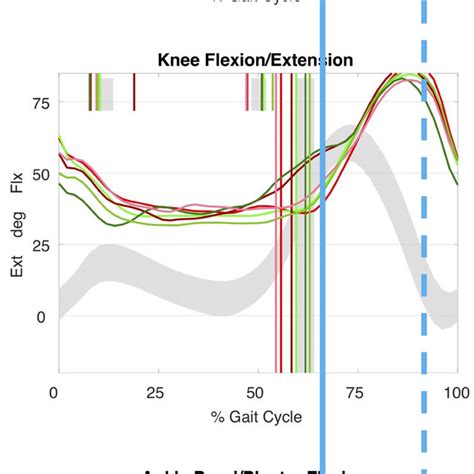 Kinematic Traces Of Mass Flexion Flx Extension Ext Mass