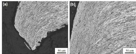 Optical Microstructures In Longitudinal Direction At Location 5 Near
