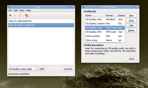 The Best Audio Converter Tools For Linux