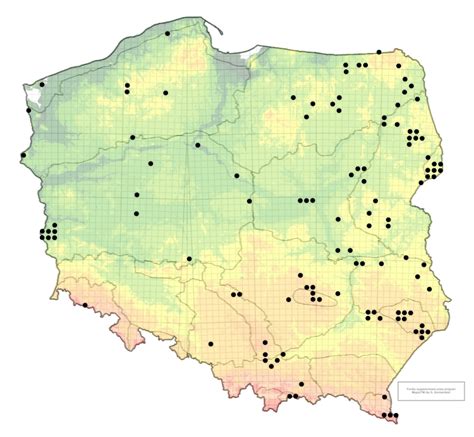 Araneae Polski