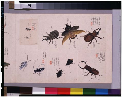 C0021062 虫豸帖 東京国立博物館 画像検索