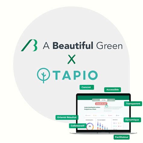 Corporatesustainability Carbonfootprint Netzero Tapio A Beautiful