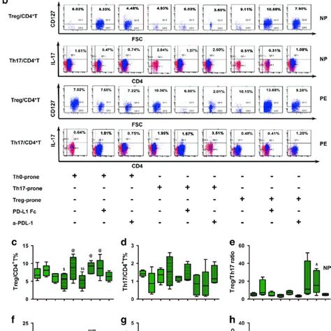 The Pd 1pd L1 Pathway Regulated The Dynamics Of Treg And Th17 Cells In