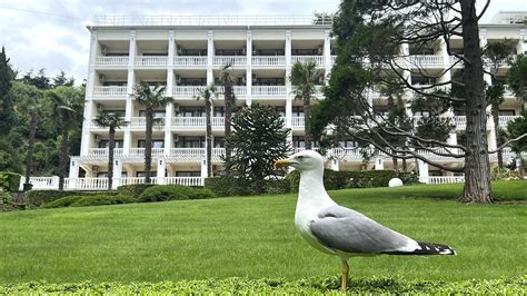 Законопроект об освобождении туроператоров от НДС принят во Ii чтении