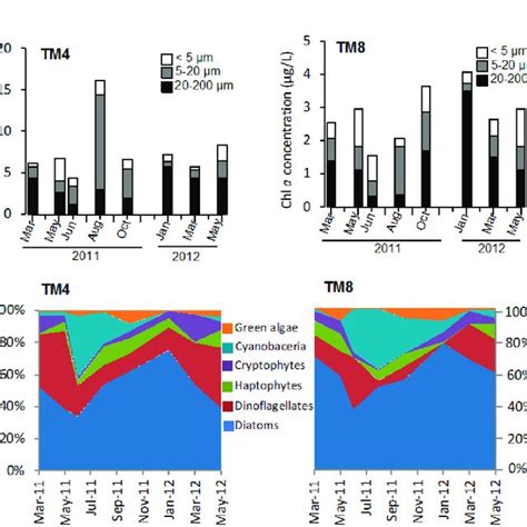 Seasonal Variation In Phytoplankton Composition A Temporal