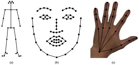 dataset transformation system for sign language recognition based on