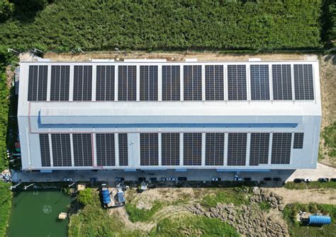 Dsg Advanced Materialthailand