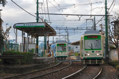 東京都交通局7000形電車 7007 都電雑司ヶ谷停留場 鉄道フォト・写真 By 丹波篠山さん レイルラボraillab