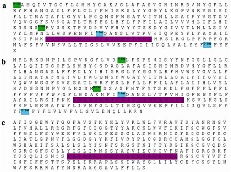 The Multiple Sequence Alignment Of Aa Sequences Of The N Terminal