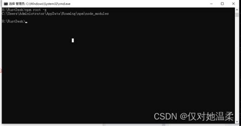 Rustdesk自建远程服务器（全网最详细小白教学） Csdn博客