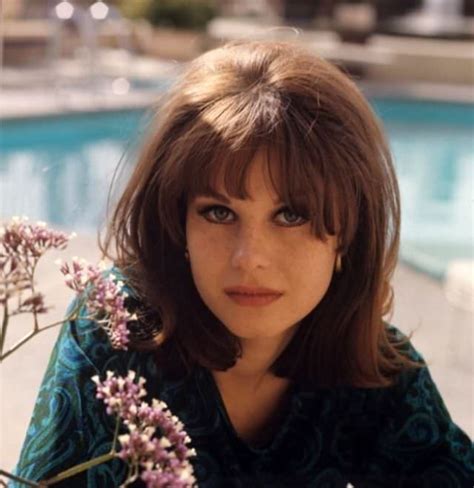 Young Lana Wood 50 Photos Showcasing Her Journey To Becoming An Icon