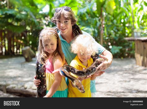 Woman Holding Python Image And Photo Free Trial Bigstock Woman Holding Python Image And Photo Free Trial Bigstock
