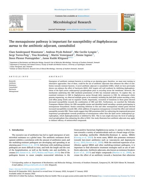 Pdf The Menaquinone Pathway Is Important For Susceptibility Of