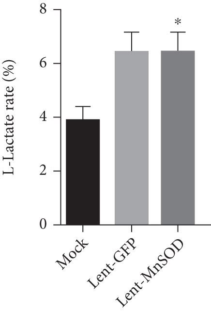 The Overexpression Of Mnsod Promoting Stemness And Glycolysis Of