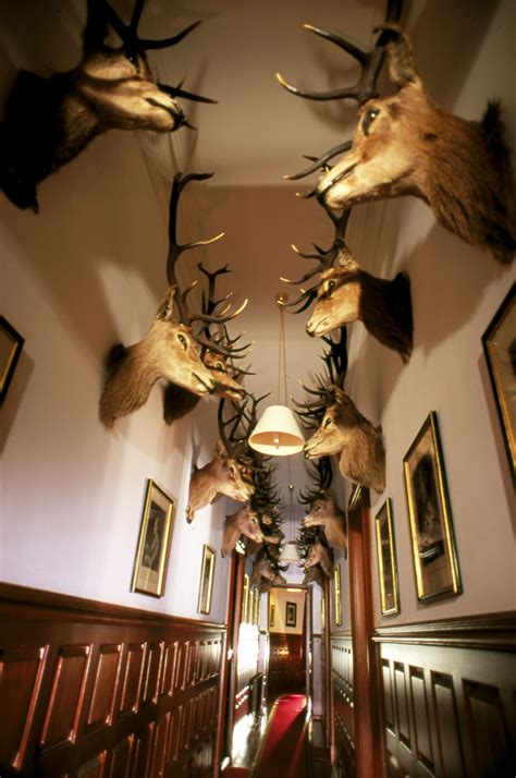 Nature Beauty And Heritage For Everyone British Hunting Lodge Decor