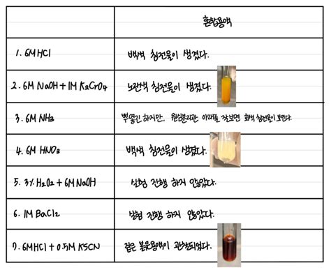 일반화학실험2 실험07 양이온음이온의 정성분석 네이버 블로그