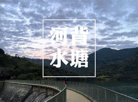 【香港好去處】元朗 ️河背水塘 Beginneros 網上學習平台